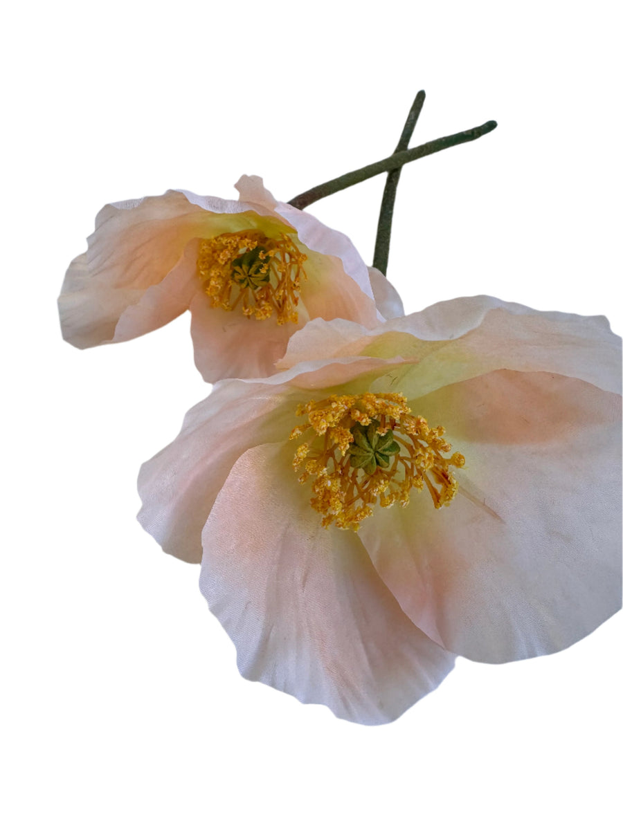 Peach Poppy – Tina Leix Floral, Wreath & Home Co.